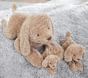 Plush Labradoodle Collection | Kids Stuffed Animal | Pottery Barn Kids