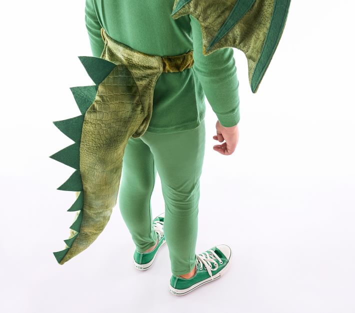 Kid Dino Costume Accessory Set | Pottery Barn Kids