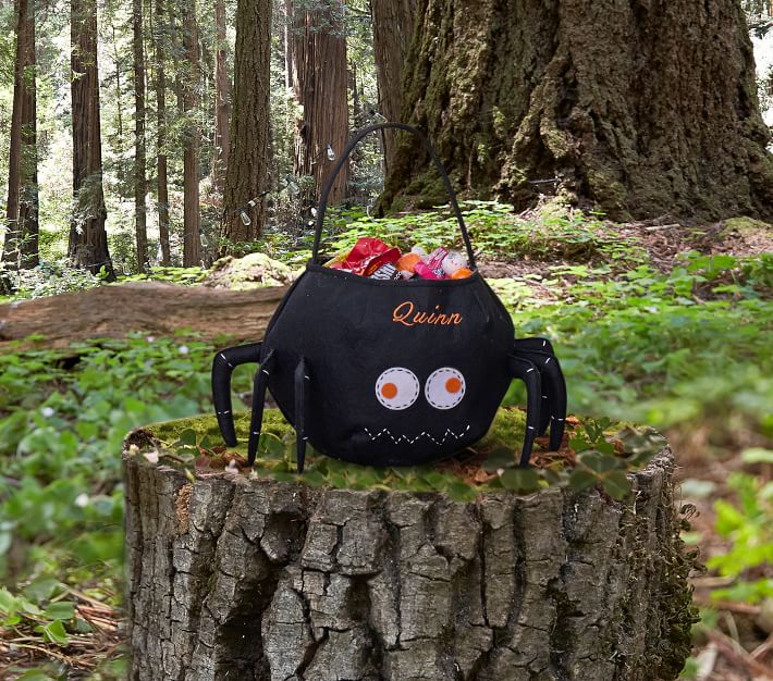 Spider Trick Or Treat Bag | Pottery Barn Kids