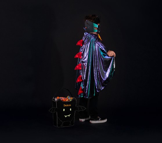 Kid Light Up Dragon Cape & Mask Costume Accessory Set | Pottery Barn Kids