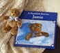 A Hanukkah Bear Personalized Book | Kids Books | Pottery Barn Kids