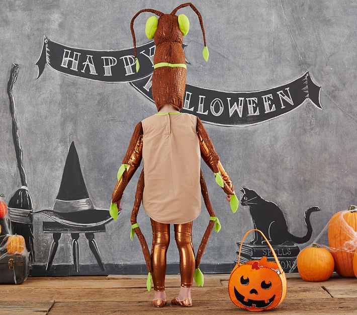 Kids Stick Bug Light-Up Halloween Costume | Pottery Barn Kids