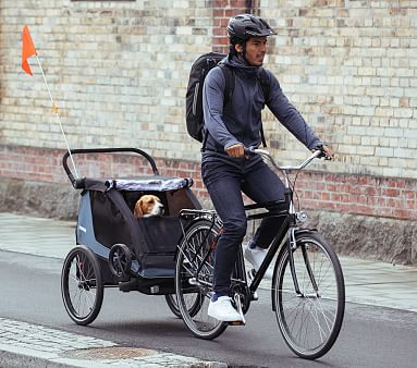 Thule Courier Dog Trailer Kit | Pottery Barn Kids