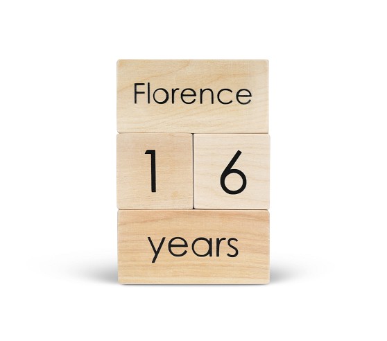 Modern Blocks Milestone Block Set | Pottery Barn Kids