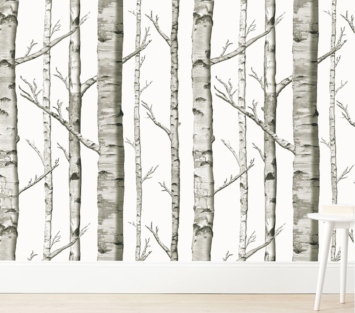 Birch Tree Forest Wallpaper