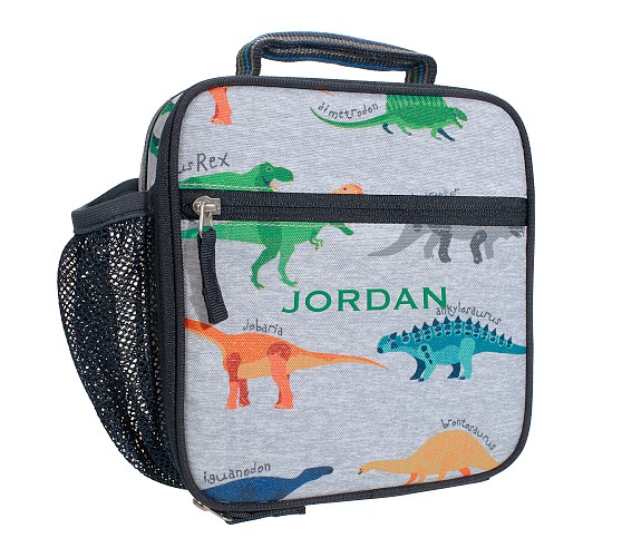 Mackenzie Finn Dino Lunch Boxes | Pottery Barn Kids