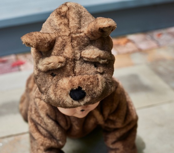 The Wizard of Oz™ Toto™ Baby Costume | Pottery Barn Kids