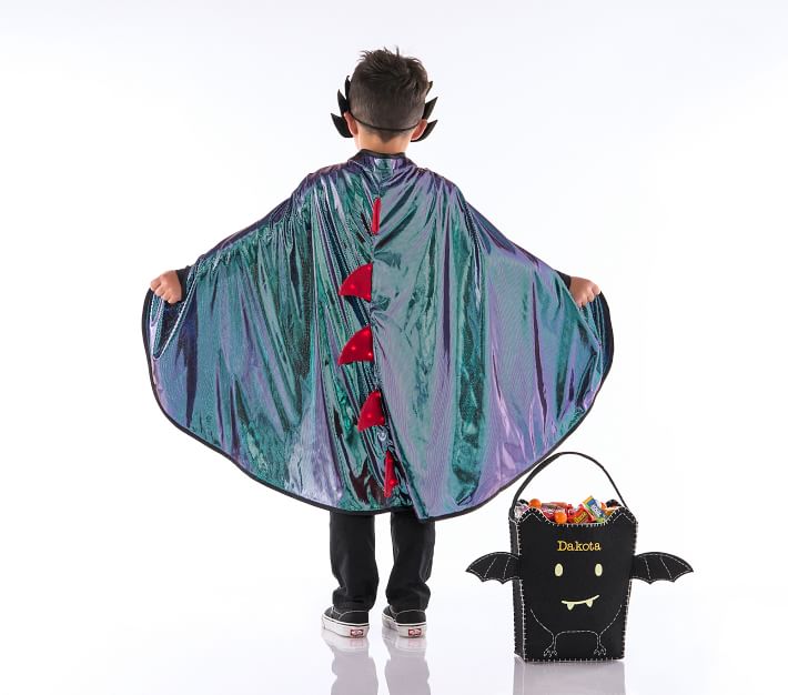 Kid Light Up Dragon Cape & Mask Costume Accessory Set | Pottery Barn Kids