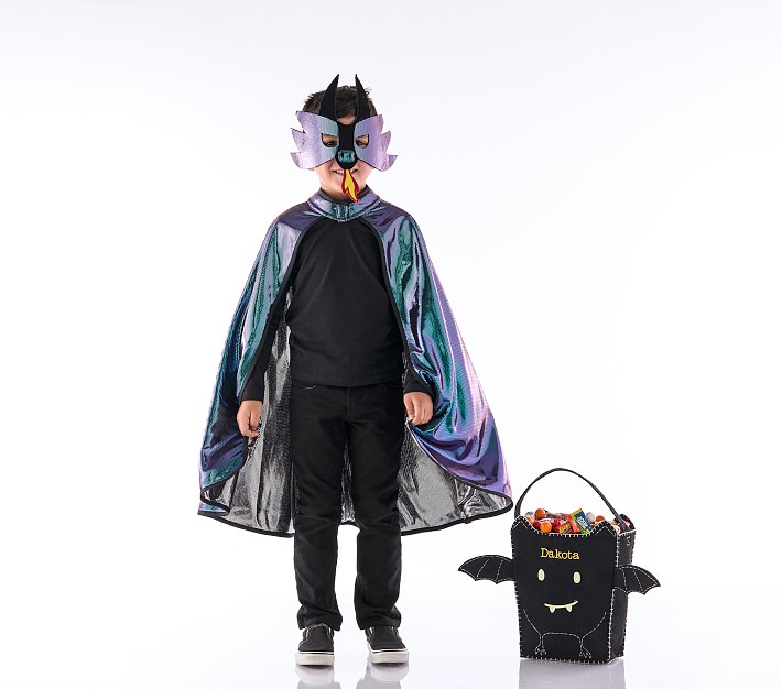 Kid Light Up Dragon Cape & Mask Costume Accessory Set | Pottery Barn Kids