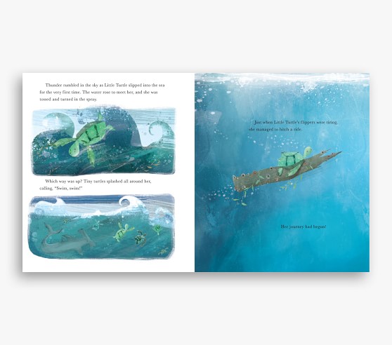 Little Turtle and the Changing Sea | Pottery Barn Kids
