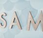 Champagne Lacquer Wall Letters | Pottery Barn Kids