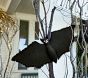 Hanging Bats, Set of 6 | Pottery Barn Kids