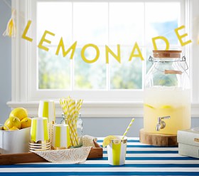 Lemonade Kit in a Box | Outdoor Toys | Pottery Barn Kids