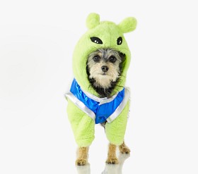 Alien Pet Costume | Pottery Barn Kids