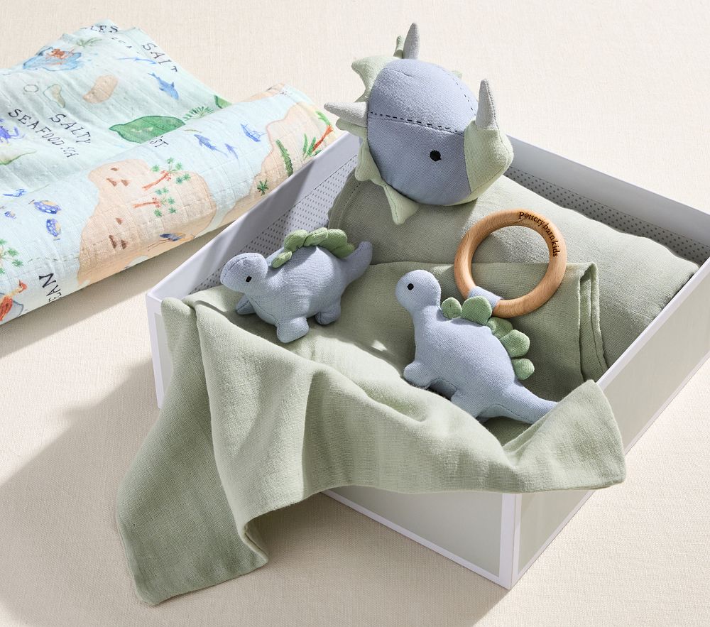 Dinosaur Muslin Gift Set | Pottery Barn Kids