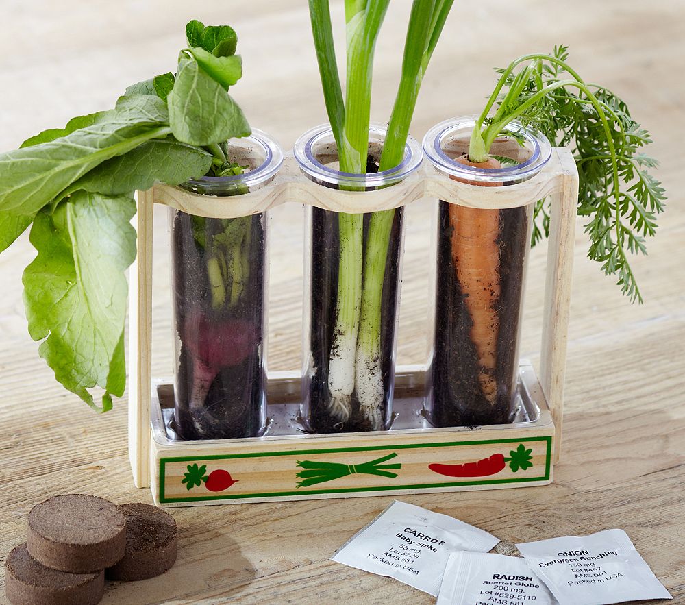 Garden Root Viewer | Outdoor Toys | Pottery Barn Kids