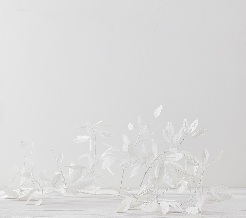 White Tree Branch | Kids Wall Decor | Pottery Barn Kids