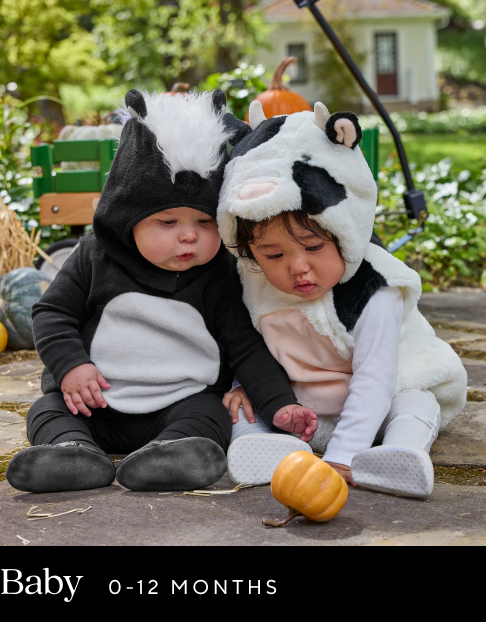 Pottery barn halloween store