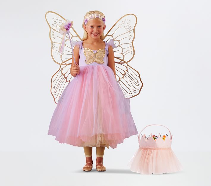 Pottery Barn Fairy Costume
