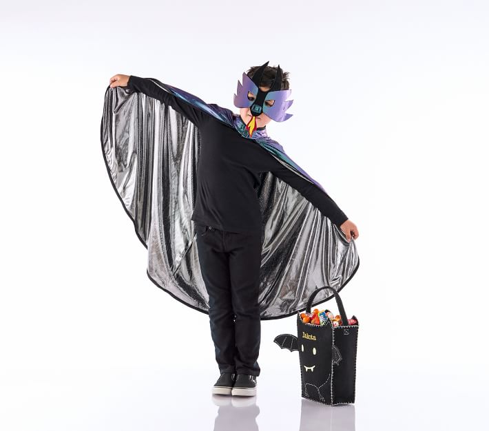 Kid Light Up Dragon Cape & Mask Costume Accessory Set | Pottery Barn Kids