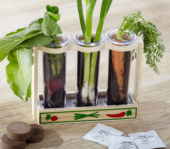 Garden Root Viewer | Outdoor Toys | Pottery Barn Kids