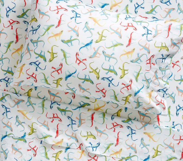 Organic Trevor Kids' Sheet Set | Pottery Barn Kids