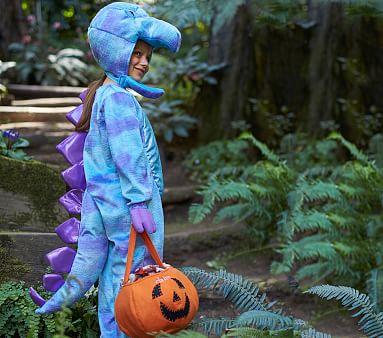 Pottery Barn Dinosaur Costume