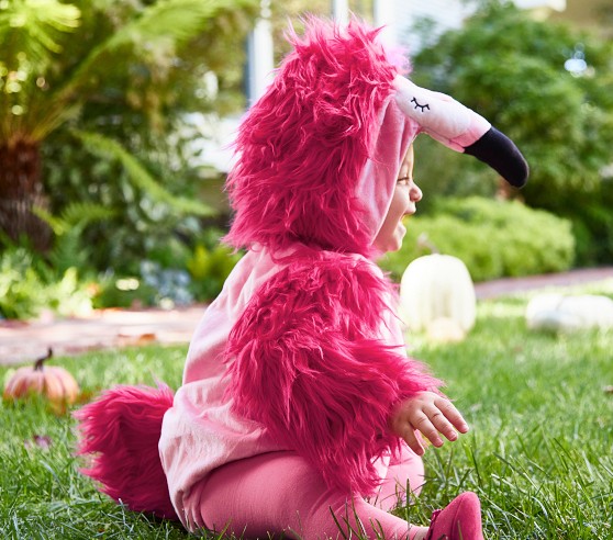 Baby Flamingo Costume | Pottery Barn Kids