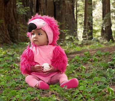Baby Flamingo Costume | Pottery Barn Kids