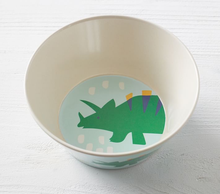 Bamboo Dinosaur Friends Bowl | Pottery Barn Kids