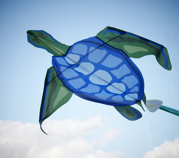 Blue Turtle Kite | Outdoor Toys | Pottery Barn Kids