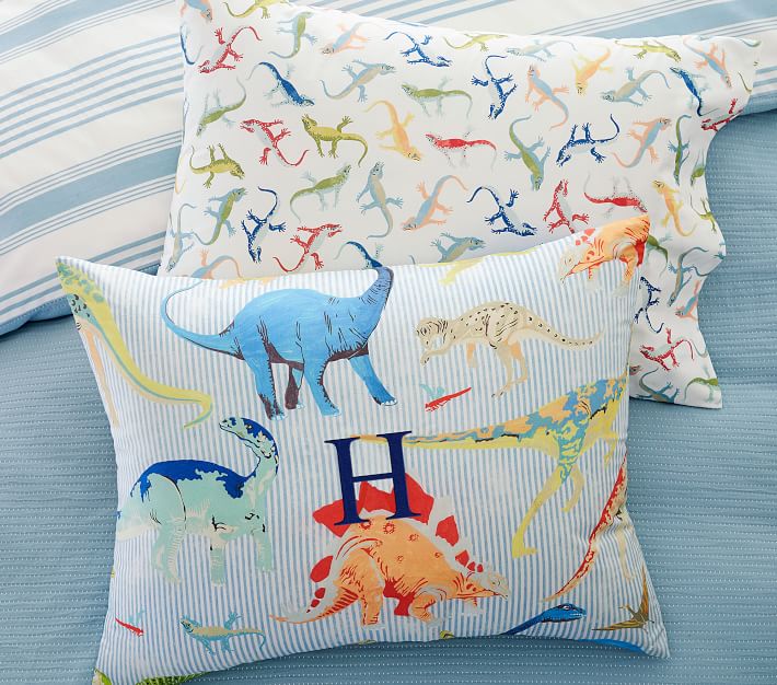 Organic Trevor Kids' Sheet Set | Pottery Barn Kids