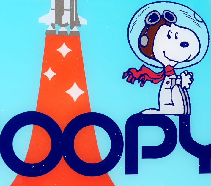 Snoopy® NASA Space Acrylic Wall Art | Kids Wall Art | Pottery Barn Kids
