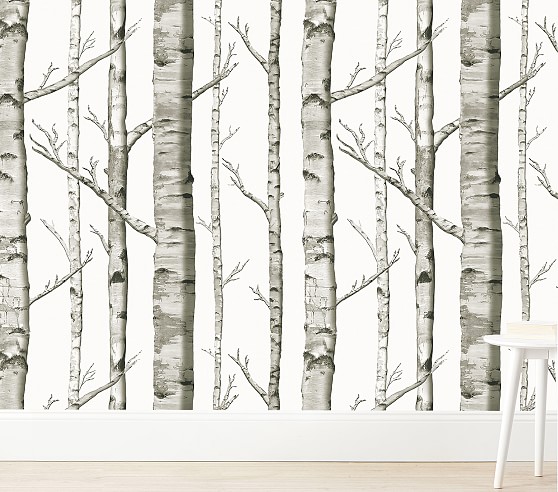Wallpaperie Birch Forest Wallpaper | Pottery Barn Kids