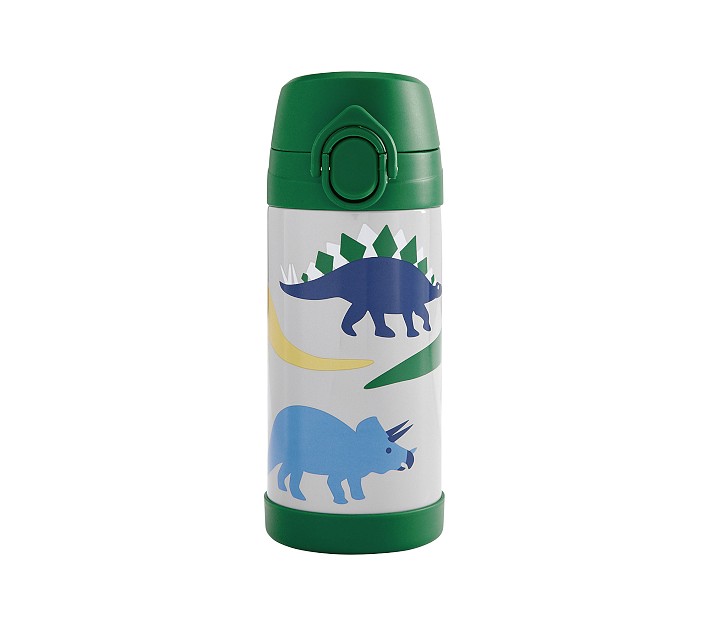 Mackenzie Grey Dinos Water Bottle | Pottery Barn Kids