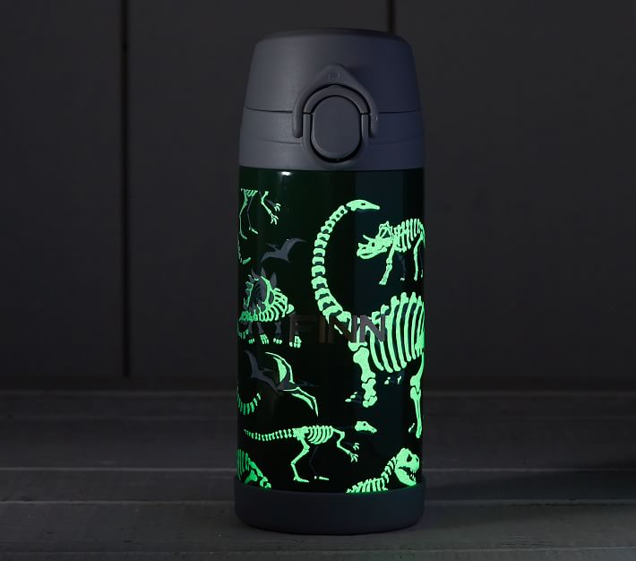 Mackenzie Green Glow-in-the-Dark Dinos Water Bottle | Pottery Barn Kids