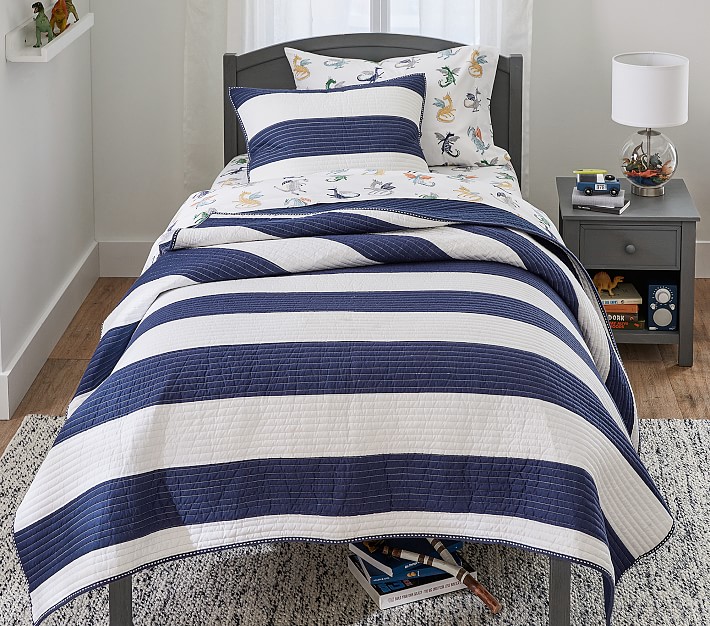 Drake Dragon Organic Sheet Set & Pillowcases | Pottery Barn Kids