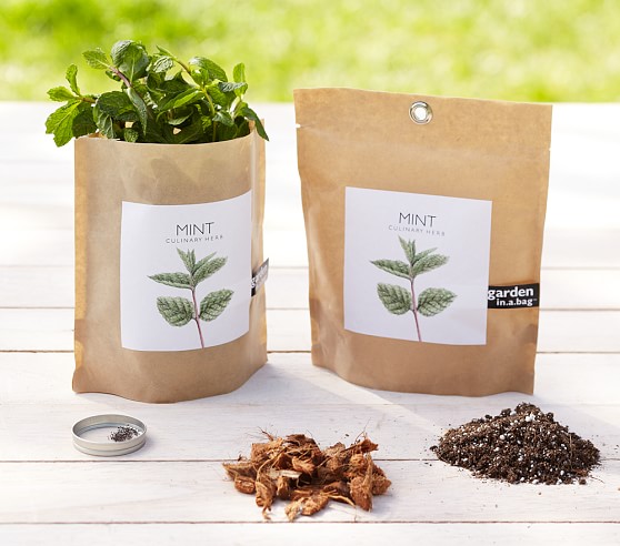 Mint in a Bag | Outdoor Toys | Pottery Barn Kids