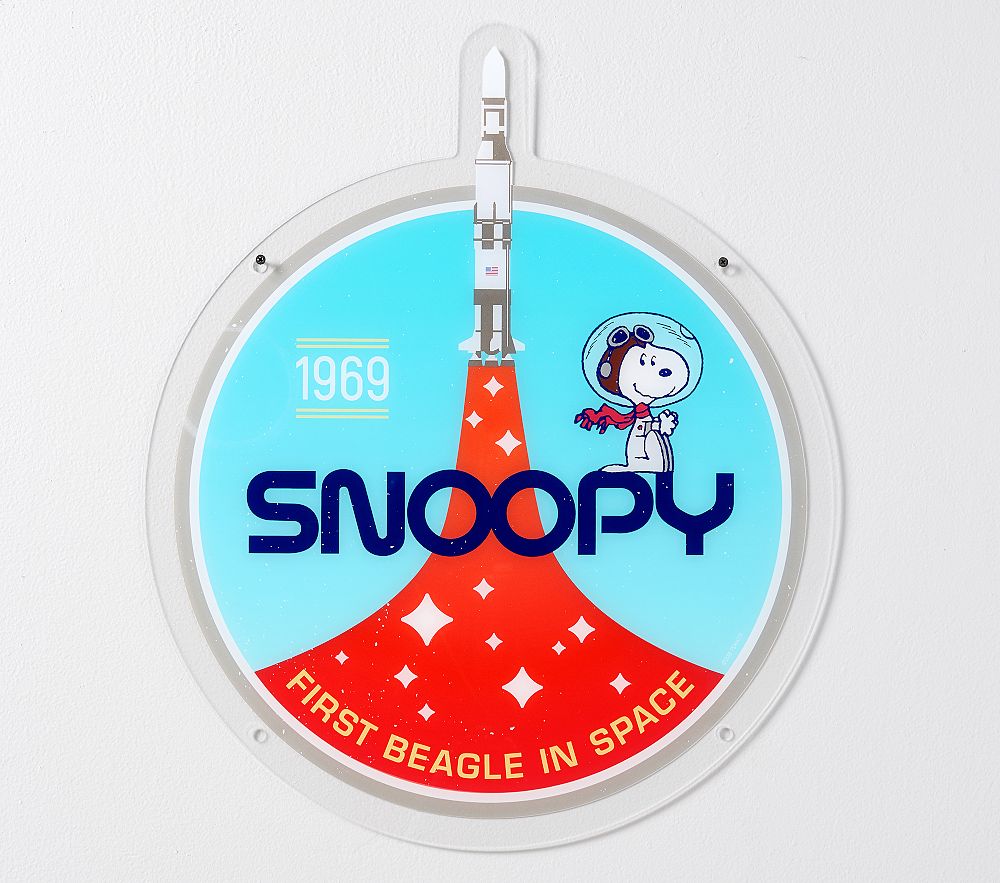 Snoopy® NASA Space Acrylic Wall Art | Kids Wall Art | Pottery Barn Kids