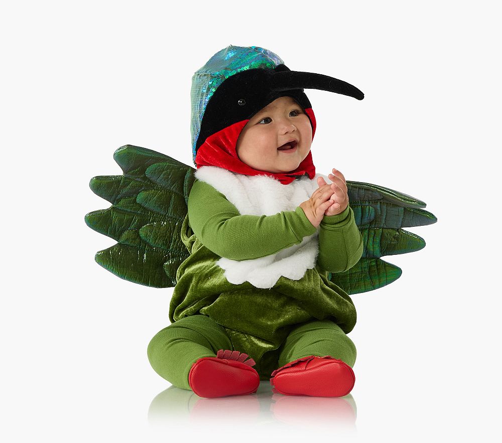 Baby Hummingbird Costume | Pottery Barn Kids